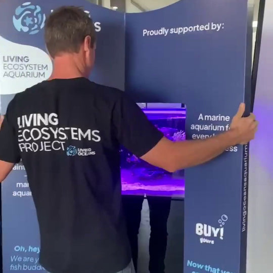 Site Installation - Living Display – Living Oceans